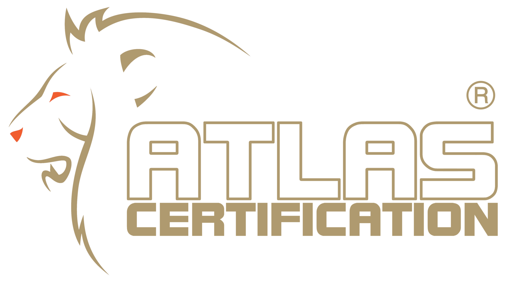 Atlas Certification – SSIP