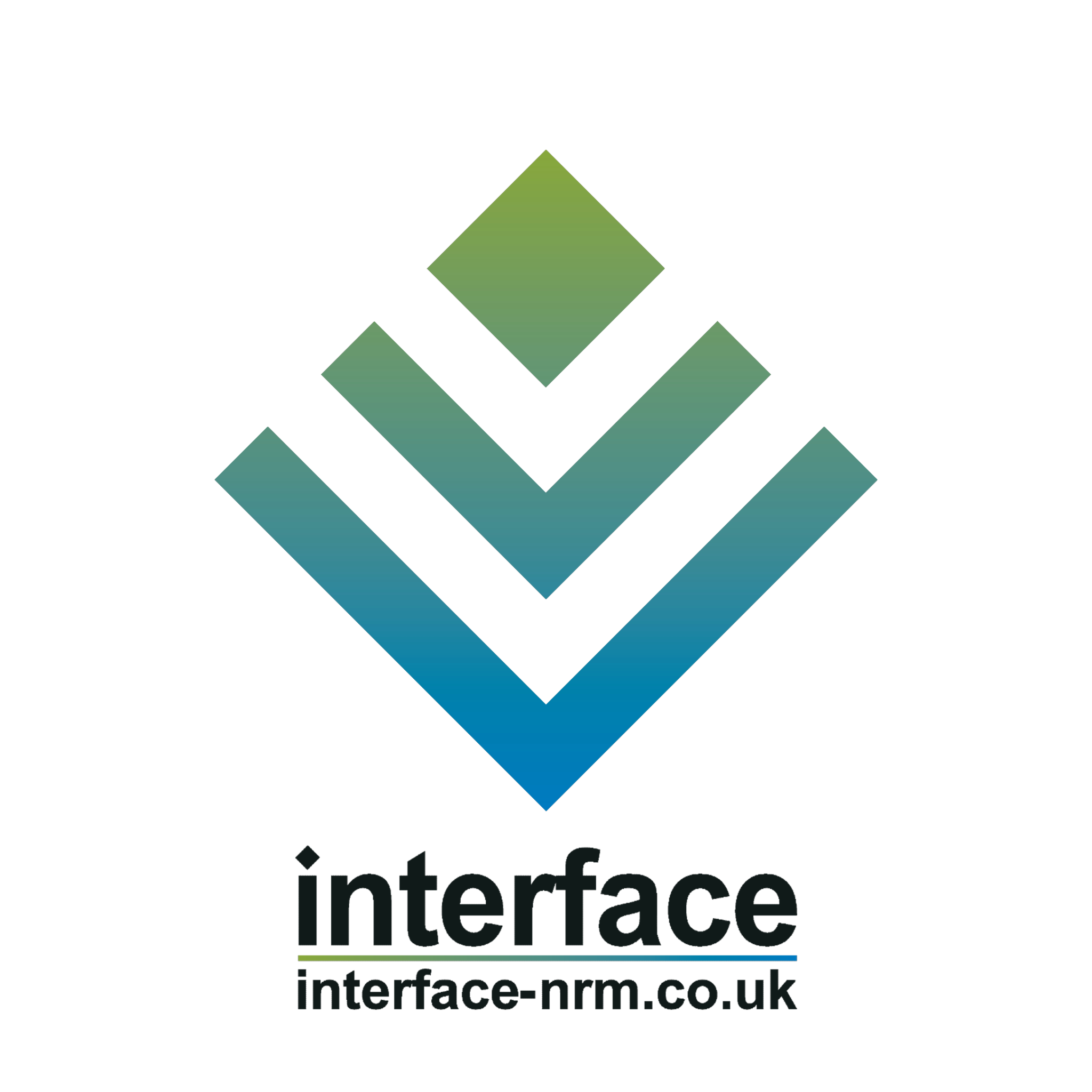 Interface NRM – SSIP