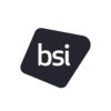 BSI Assurance UK Limited – SSIP